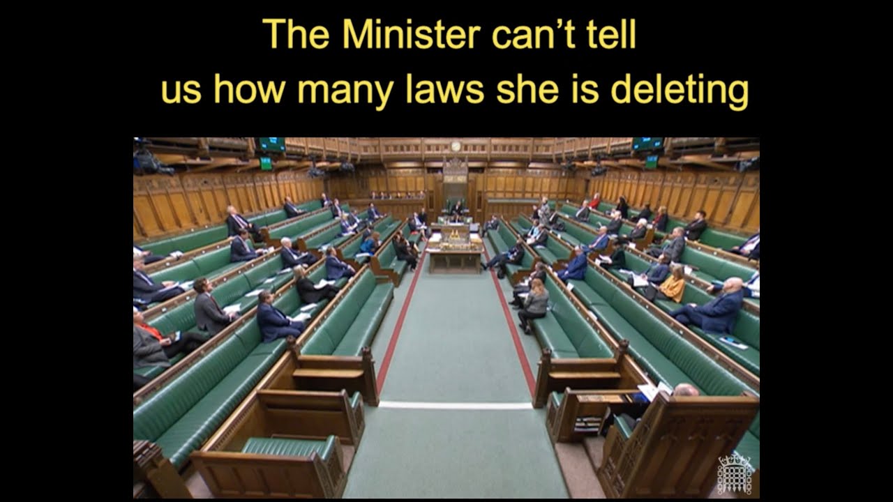 Ministers can't say how many laws they are deleting - YouTube