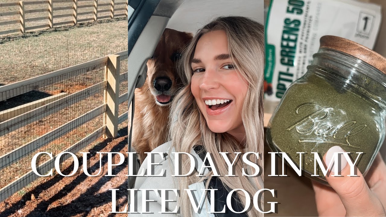 VLOG: DAYS IN MY LIFE | EXCITING THINGS HAPPENING | HOME UPDATES ...