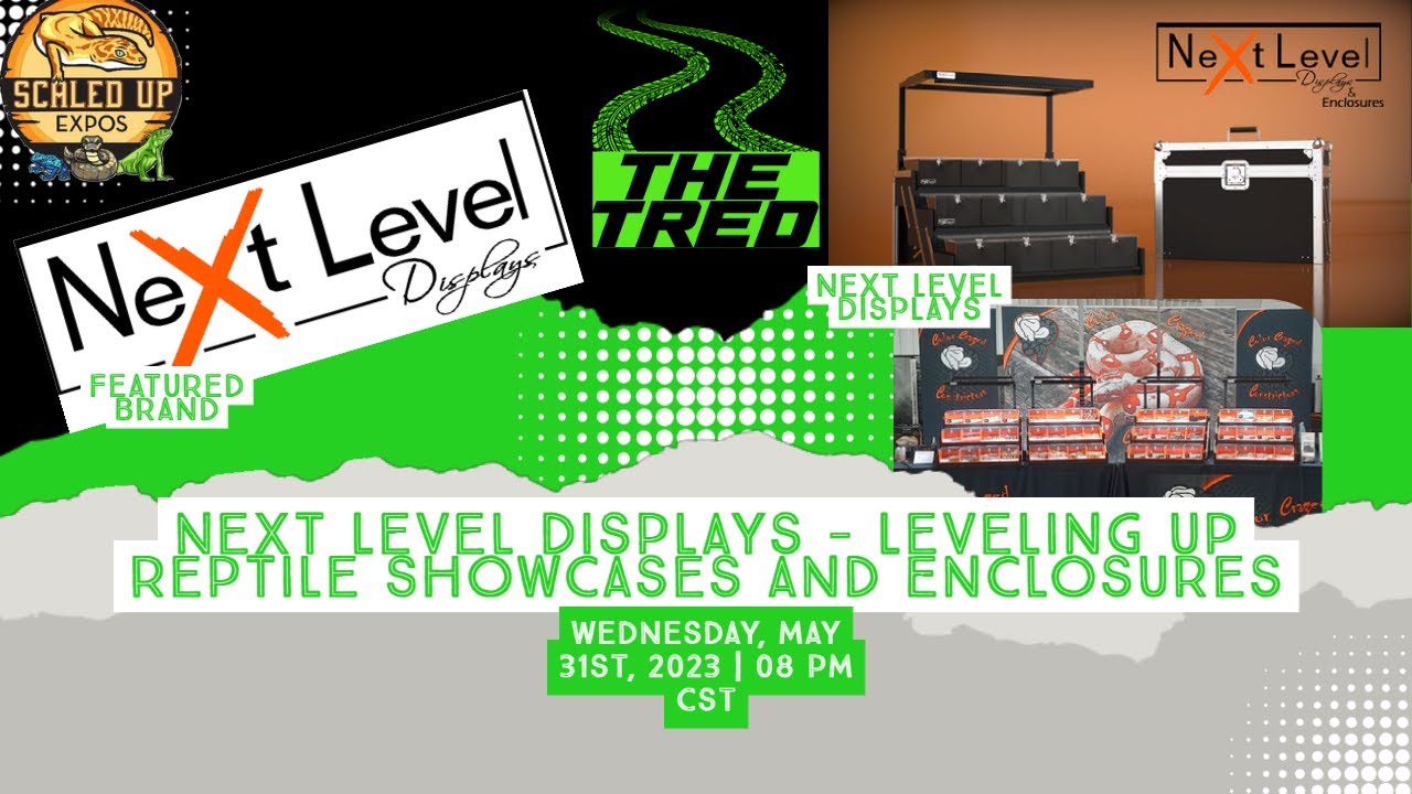 Next Level Displays - Leveling Up Reptile Showcases and Enclosures ...
