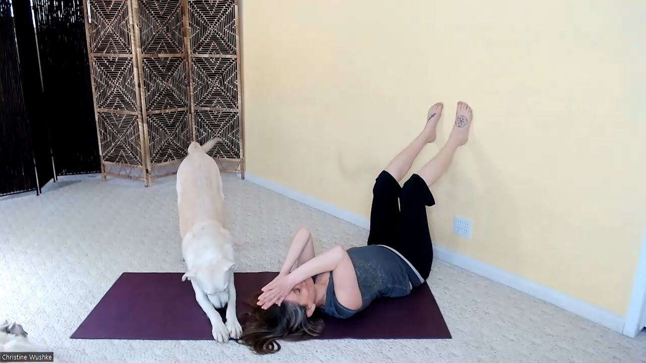 Day 9! Mindful Playful Roll Overs For Shoulders (And Brain!) - YouTube