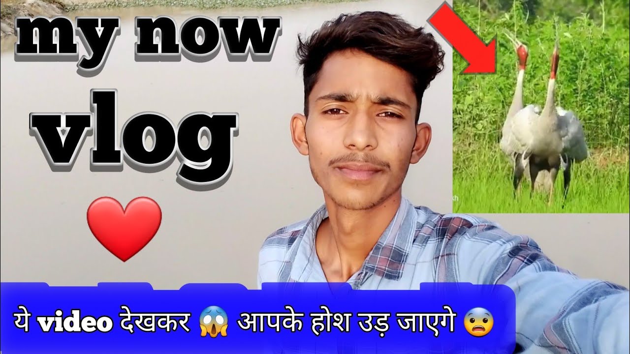 my first vlog ll my first video on YouTube ll 1000subscribe 🙏🙏 plz ...