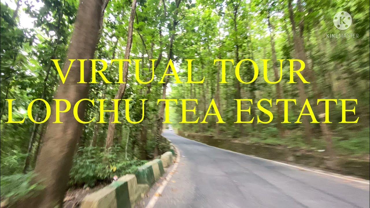 Virtual Tour Lopchu Tea Estate Chaipati Bhagan Darjeeling Youtube
