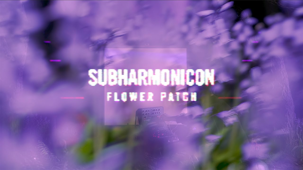 Moog Subharmonicon | Flower Patch - YouTube