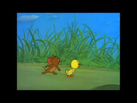 Tom and Jerry   Episode 77   Just Ducky 1953