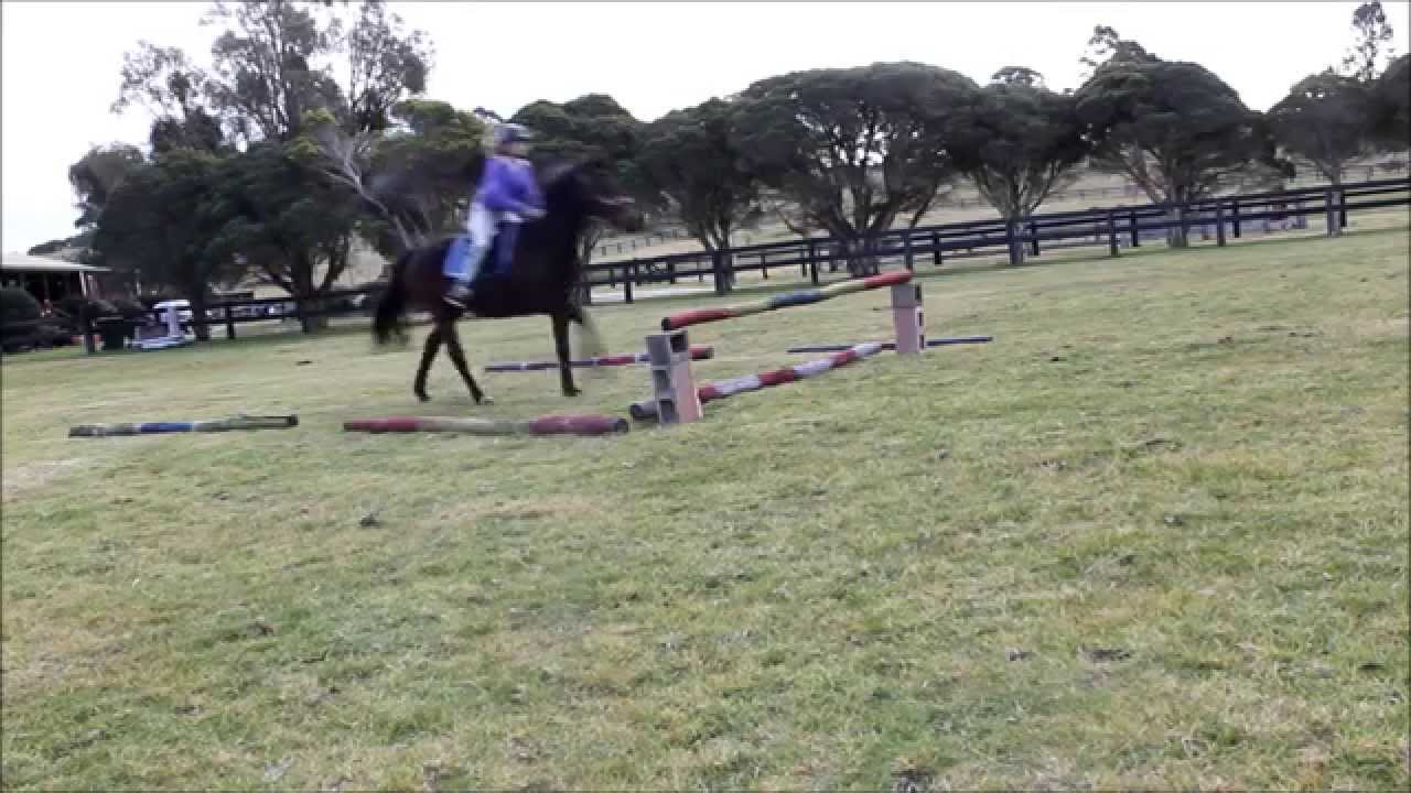 Jumping 65cm for 1st Time - YouTube