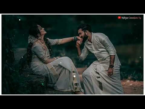 👸Begum Bagair 🤴Badshah Kis Kaam Ka Status  ( WhatsApp Status )Aditya Creation Av