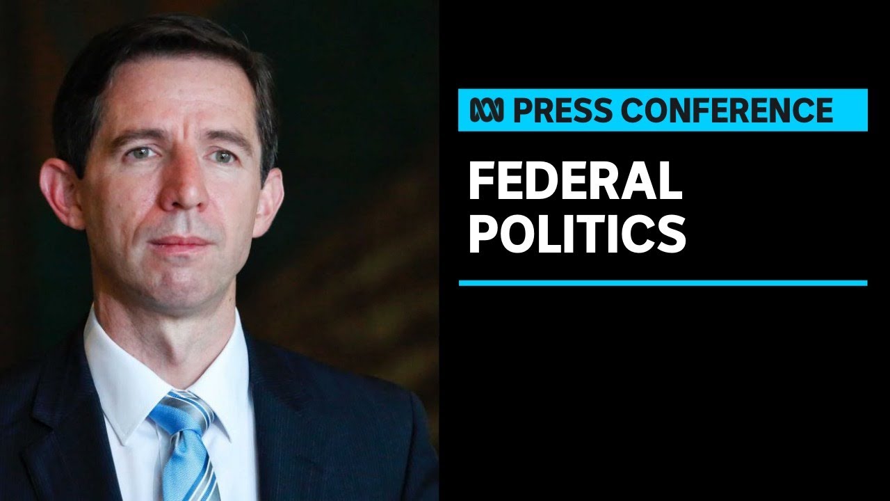 Simon Birmingham speaks after the resignation of Liberal MP Nicolle ...