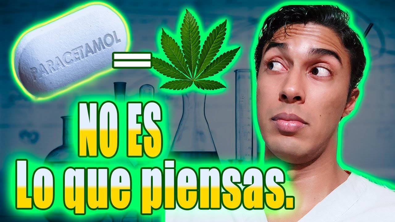 La Verdad Sobre 👉 El AcetaminofÉn ¿qué Hace En Tu Cuerpo Y Como