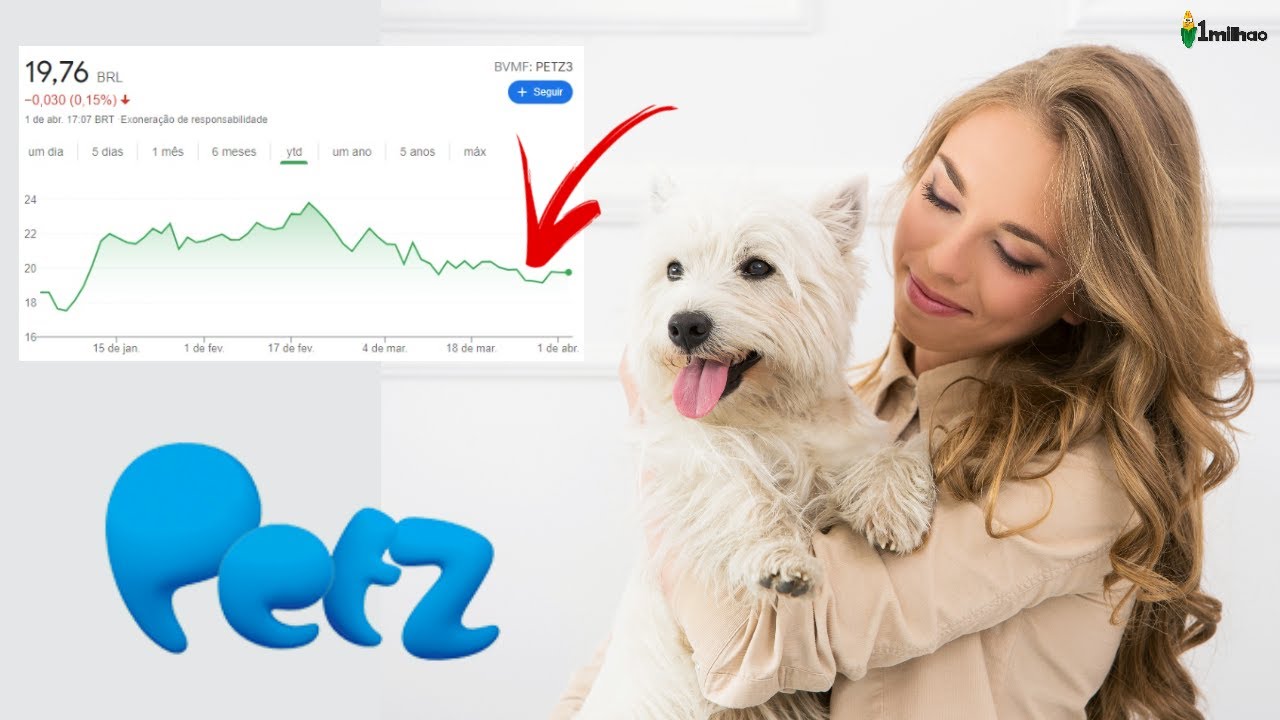 PETZ3 ANÁLISE TÉCNICA DAS AÇÕES DA PETZ + NOTÍCIAS - YouTube