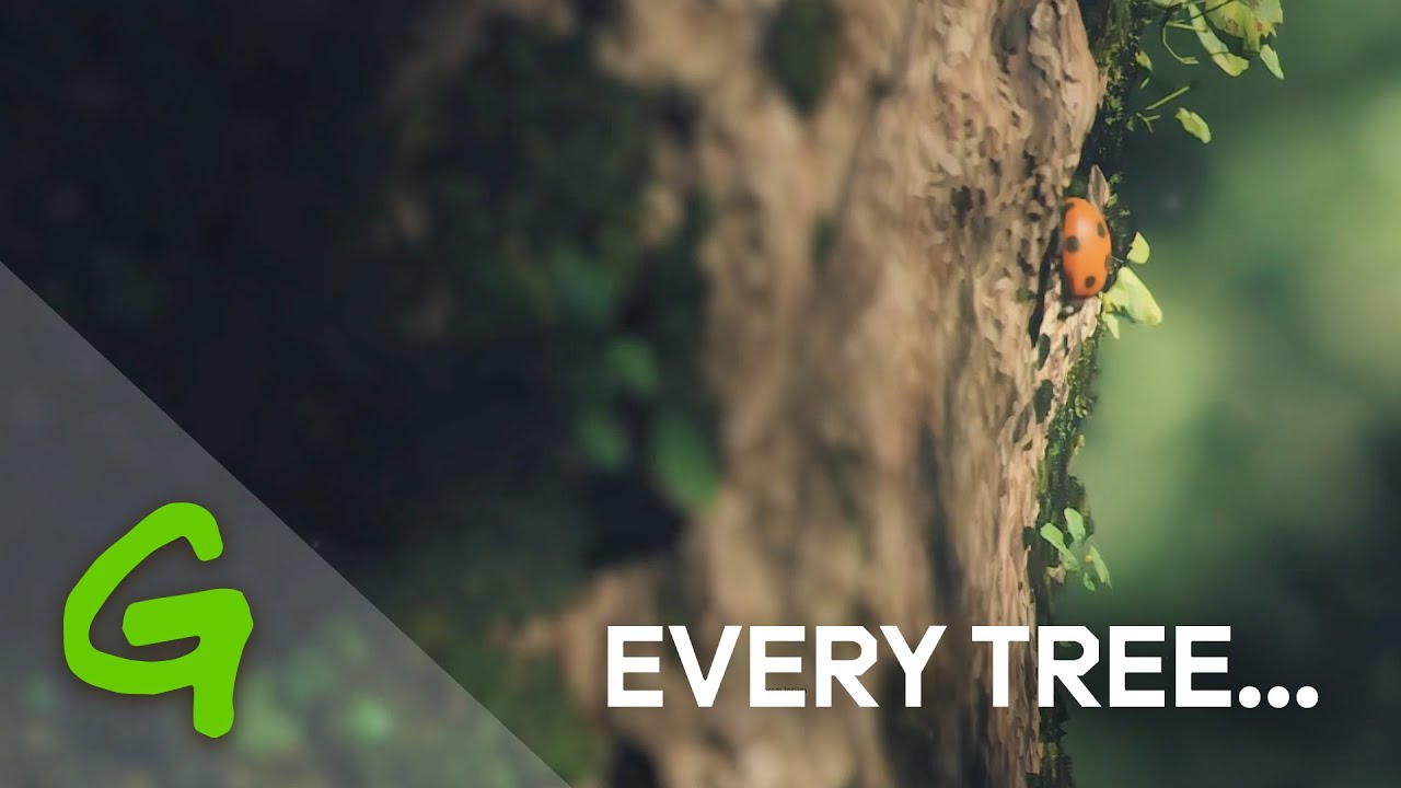 Every tree has a story to tell... - Greenpeace - YouTube