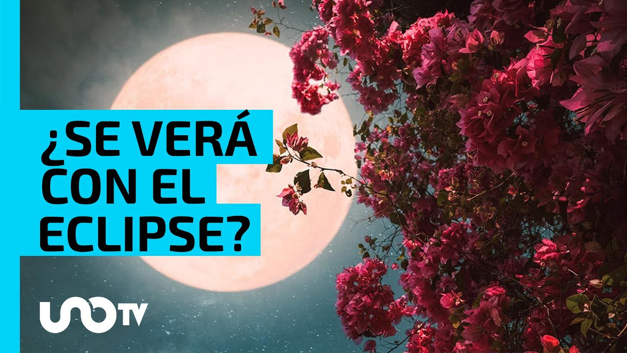 ¿Cómo ver la Luna de las flores en mayo? - YouTube