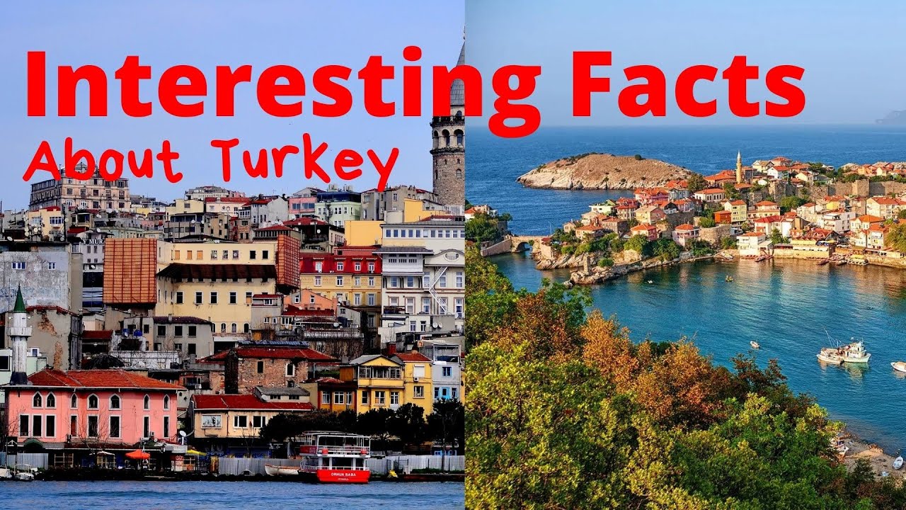 Turkey Facts For Kids - YouTube