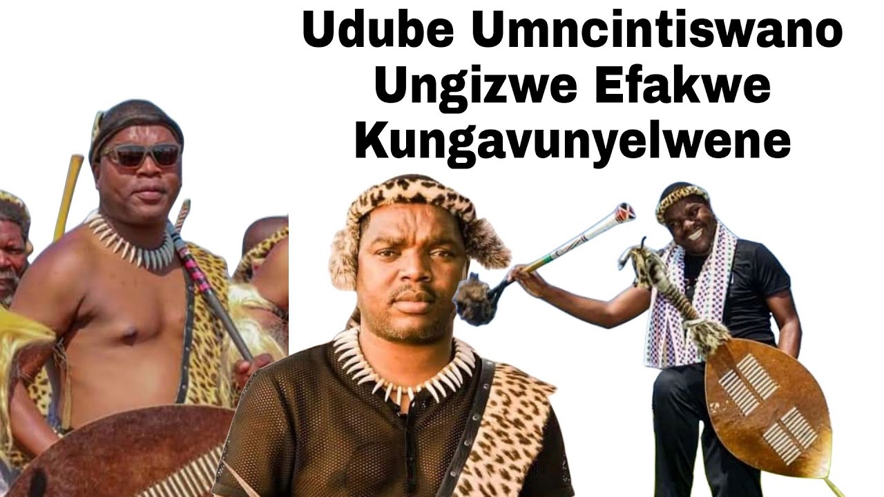 Ubhoke Ngolaka uNgizwe Efakwe Emncintiswanweni Kungavunyelwene - YouTube