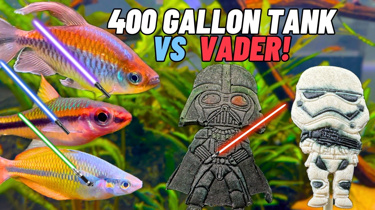 Darth Vader Feeding Frenzy! 400 Gallon Aquarium gets a Star Wars Snack ...