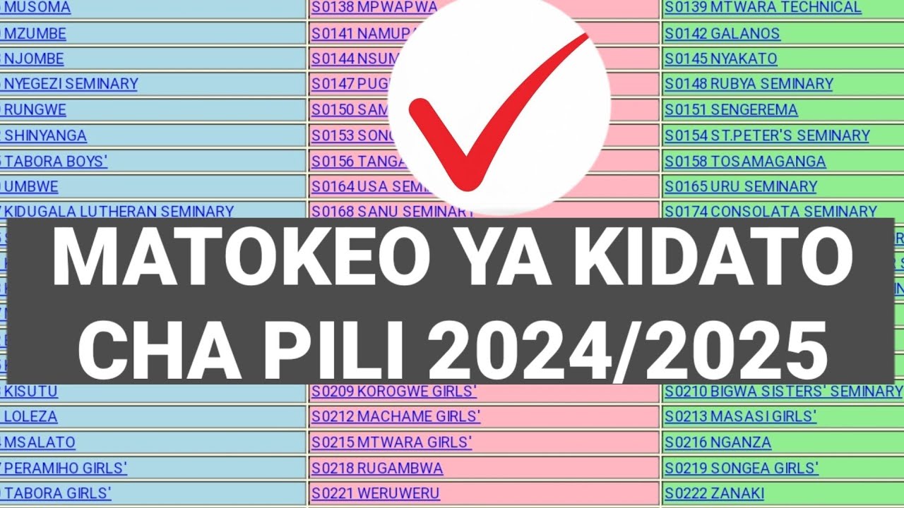 🔴MATOKEO YA KIDATO CHA PILI FORM TWO NECTA 2024/2025 Results - YouTube