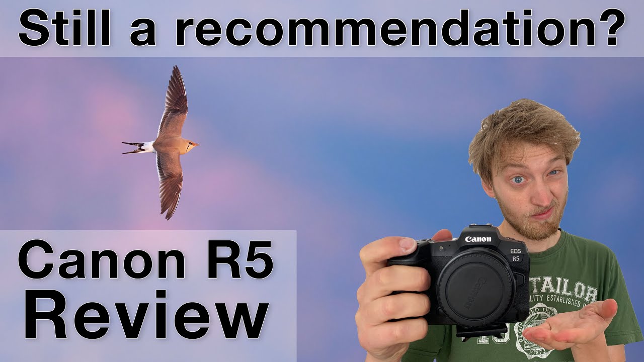 Canon’s best camera for bird photographers? Canon R5 review (after 2 ...