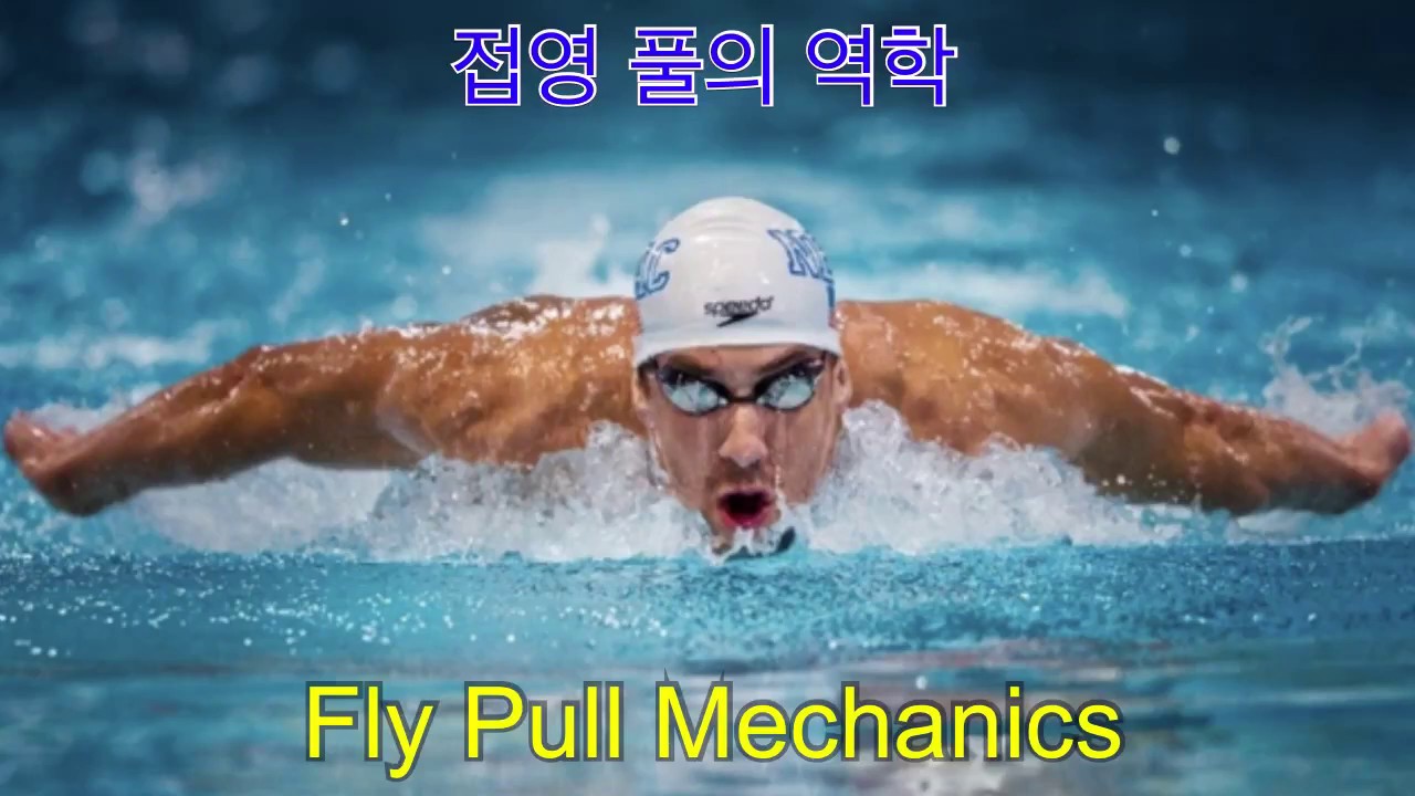 접영 풀의 역학 ( Fly arm stroke mechanics ) - YouTube