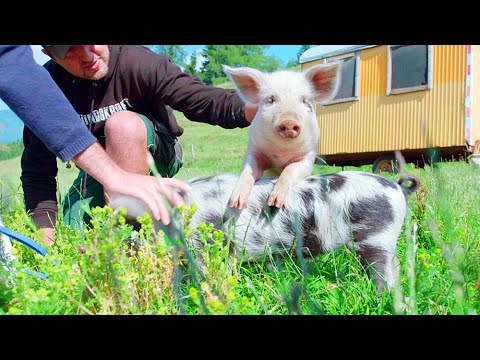 DER BAUER UND DER BOBO | Trailer deutsch german [HD] - YouTube