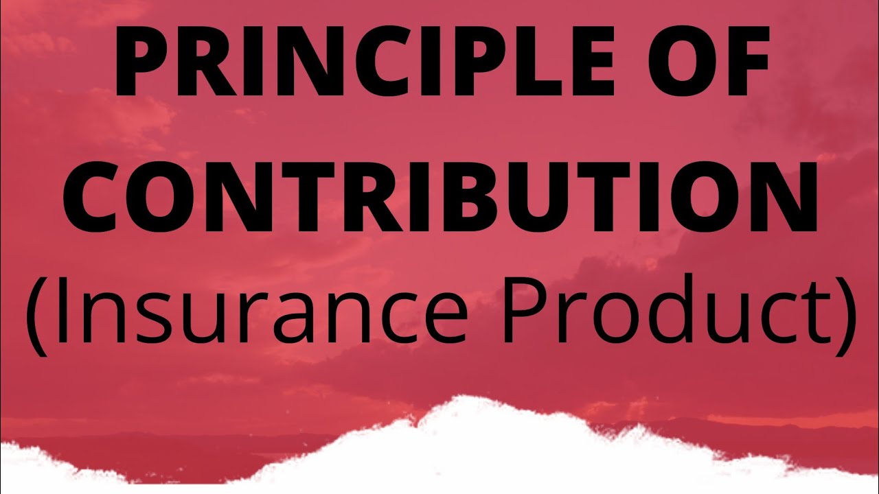 Principle Of Contribution | Insurance Product | Law Of Insurance - YouTube