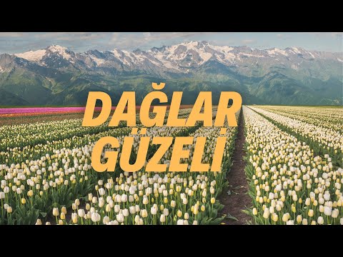 BİR DEVRİN ÇİÇEĞİ: LALE