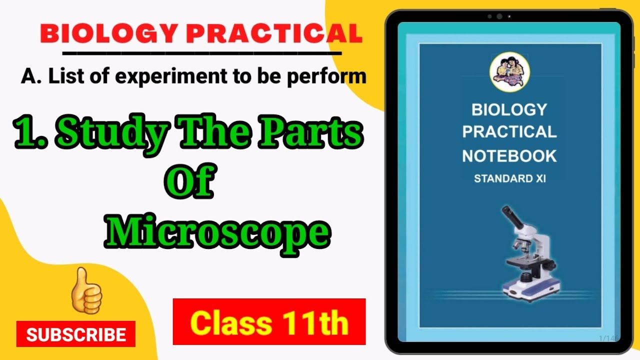 A) PRACTICAL NO 1 :- Study The Parts Of Microscope / Biology Class 11th ...