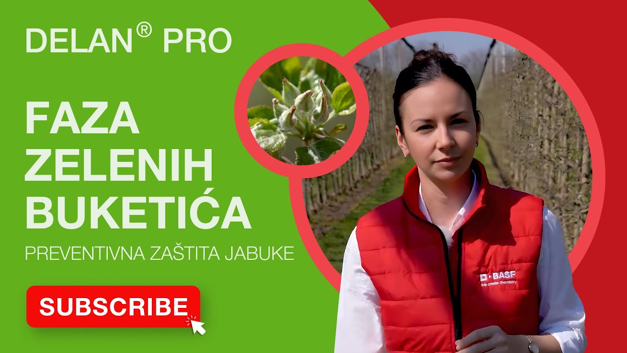 Zaštita jabuke - Zeleni buketići (Epizoda 1) - YouTube