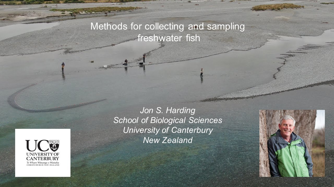 Methods for sampling and collecting freshwater fish Jon Harding - YouTube