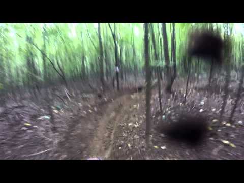 NCHSA wilks hare scramble