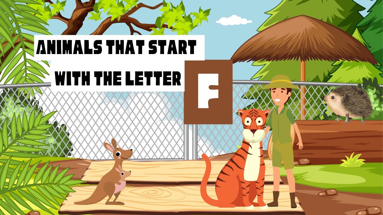 FantasticFive: Fun Facts About Animals Starting with F! Kids video ...