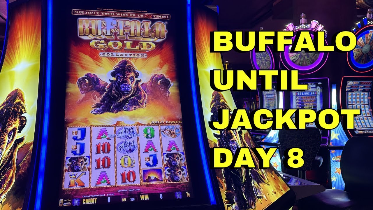 CRAZIEST BONUS WIN(S) | Buffalo until Jackpot DAY 8 - YouTube