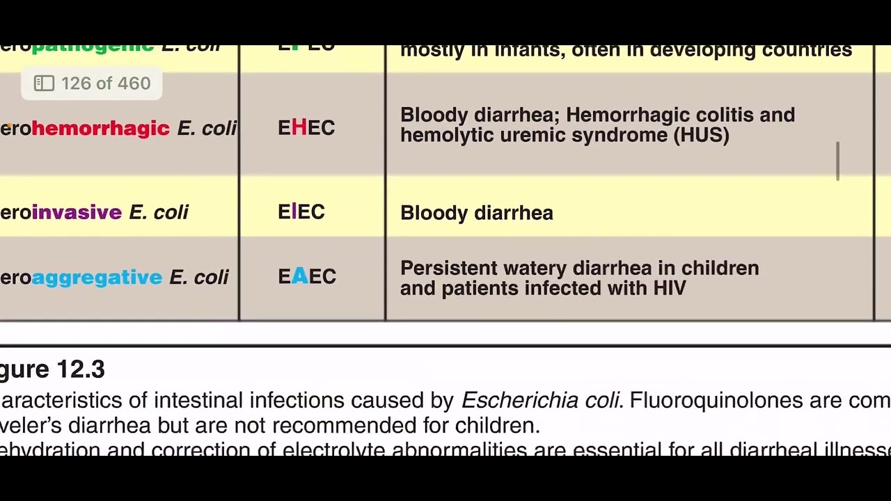 Type 2 E.coli toxic called enteropathogenic جۆری دووەمی ژەھری ئیکۆلی - YouTube