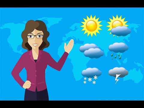 HOW CAN SOME PEOPLE PREDICT RAIN 😍 @jhwconcepts711 - YouTube