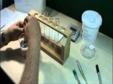 AS Biology P3_Tables and Graphs.wmv - YouTube