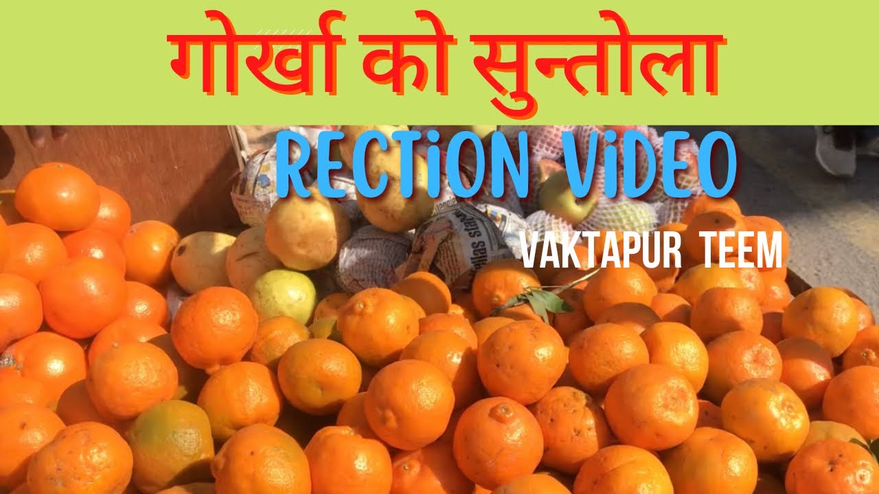 RECTION VIDEO VAKTAPUR SiTE2023 #youtube ##youtubeshorts #youtuber ...