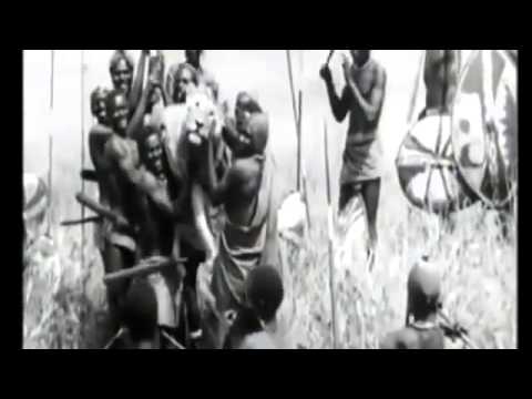 Lions being Hunted with Spears - The taste for Lion meat.MP4 - YouTube