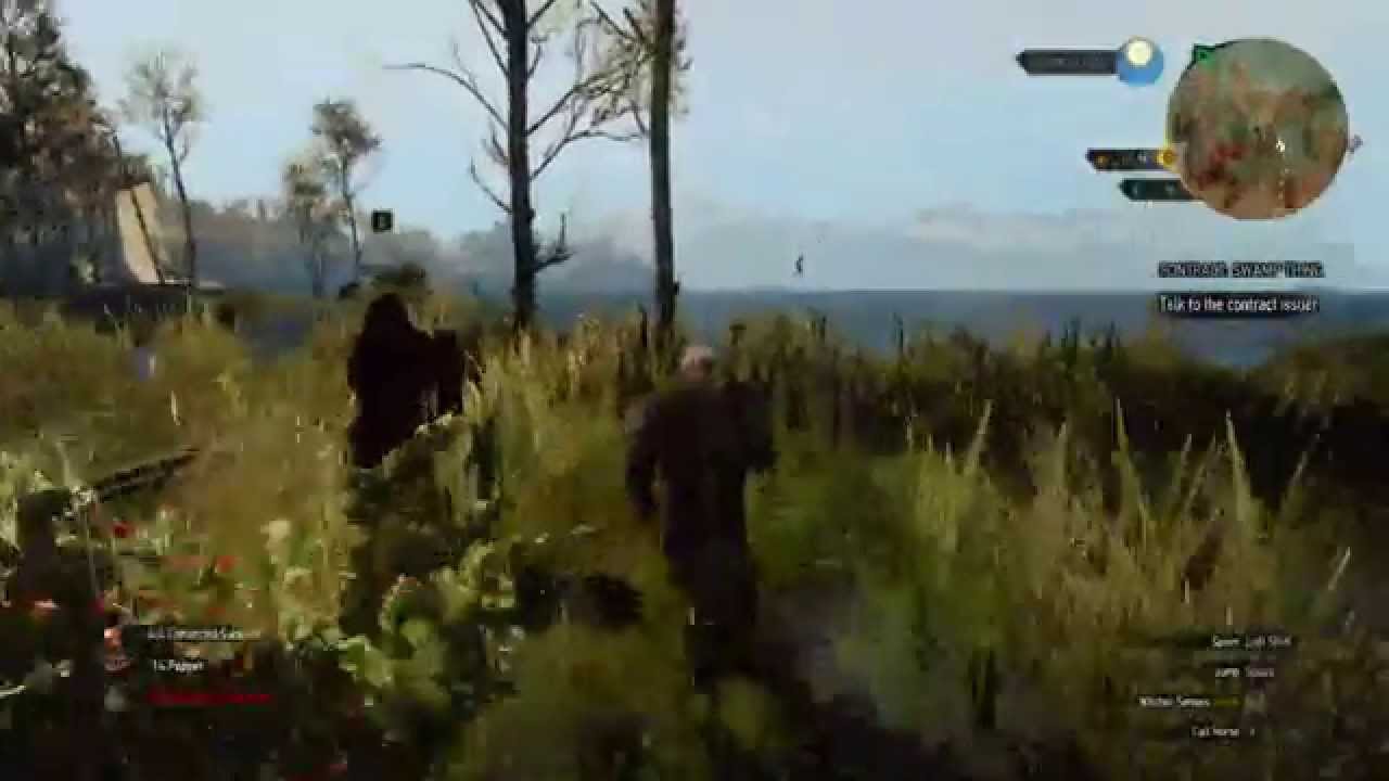 The Witcher 3: Wild Hunt Flying Drowner - YouTube