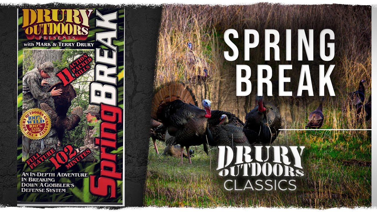 Spring Break - YouTube