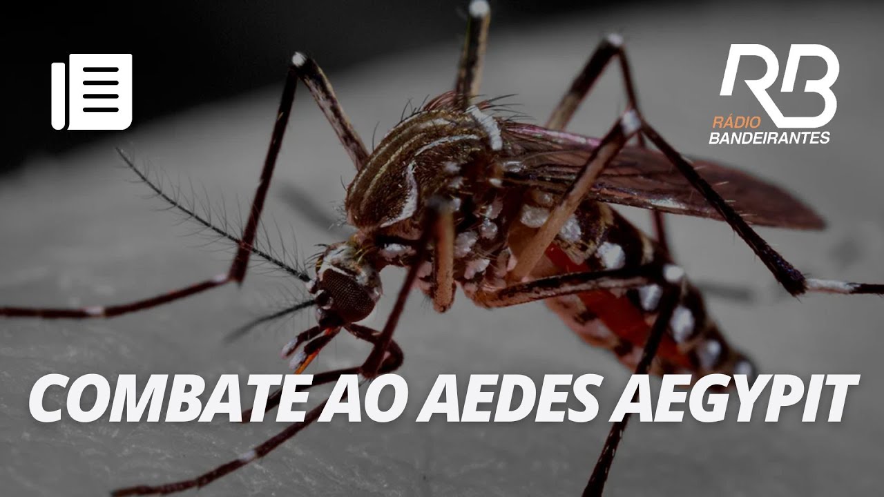 SP anuncia novas medidas de combate ao Aedes Aegypit - YouTube