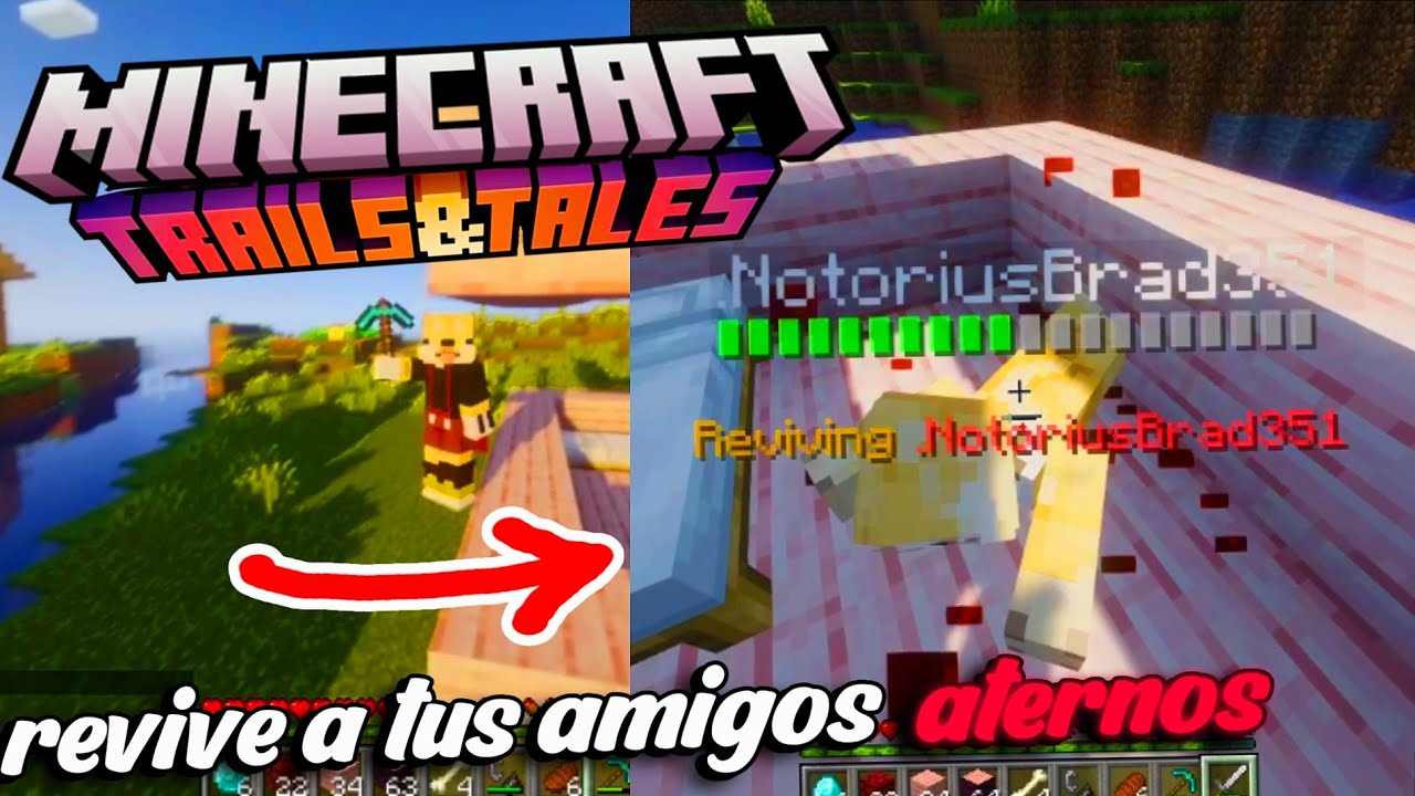 PLUGGIN para REVIVIR A TUS AMIGOS en MINECRAFT Aternos sirve en server ...