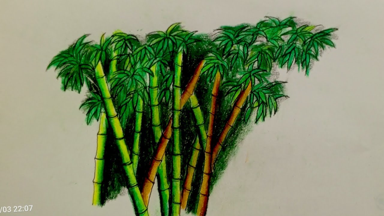 Master the Art of Bamboo Drawing Easy Step by Step Tutorial 🌿 - YouTube