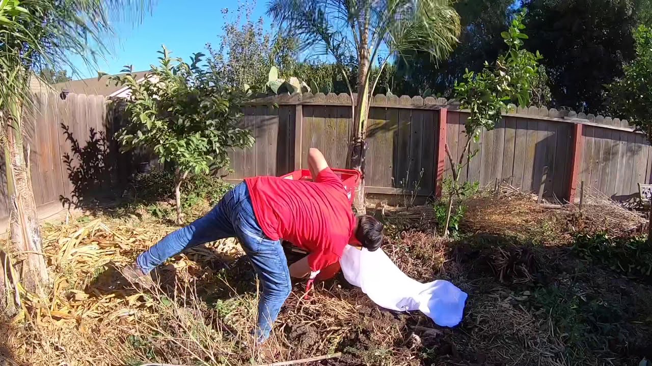 harbor freight predator 212cc chipper shredder second testing - YouTube