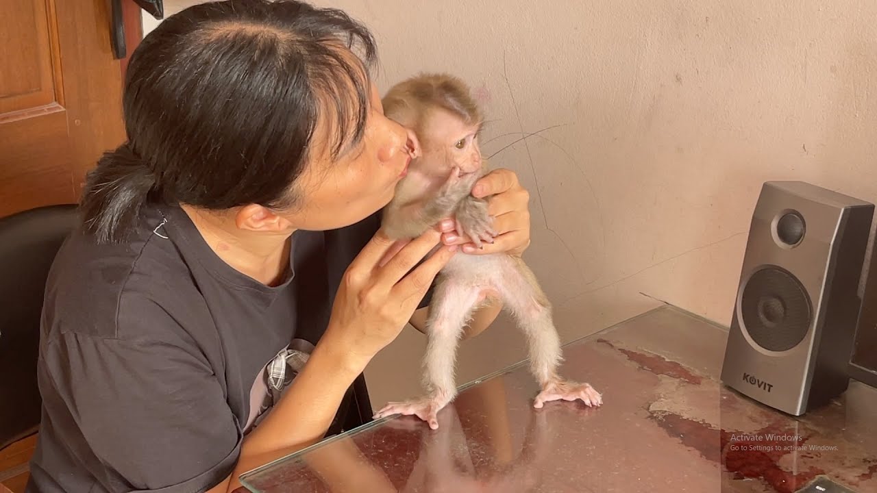 Mom bathes and loves Monkey Caca every day . - YouTube