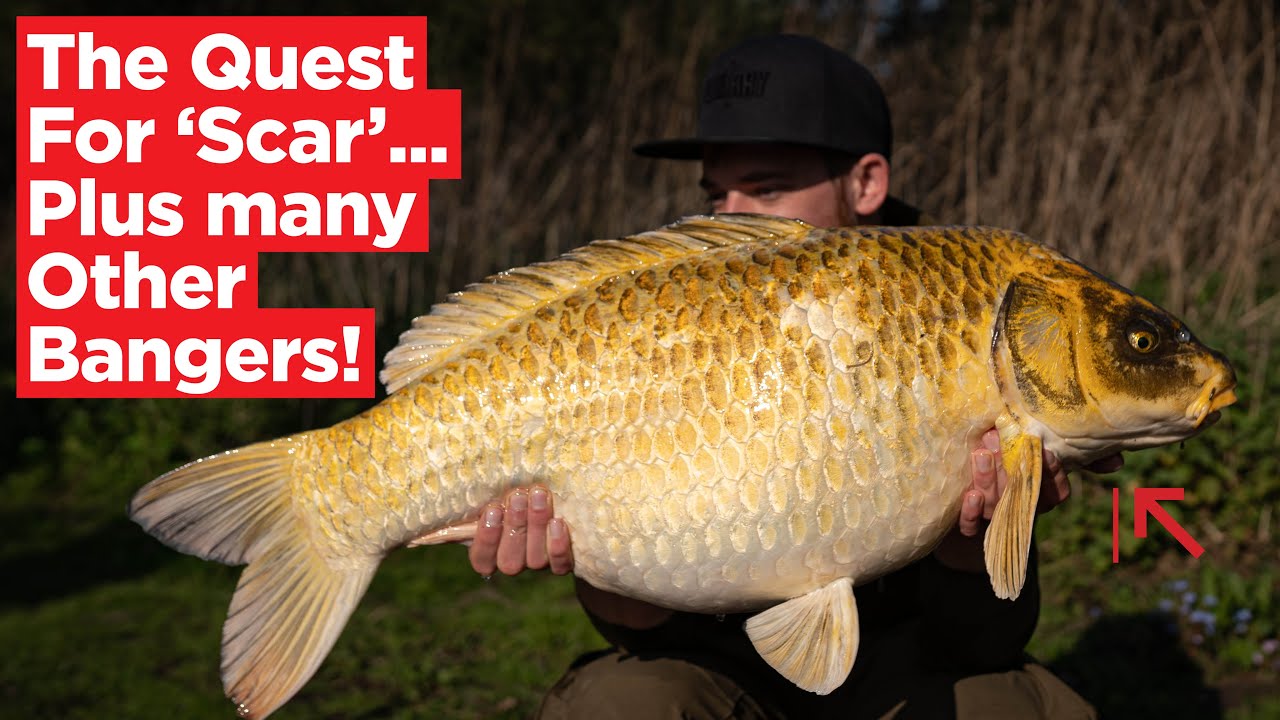 My Quest To Catch The Mighty 'Scar' | Carp Fishing 2020 - YouTube