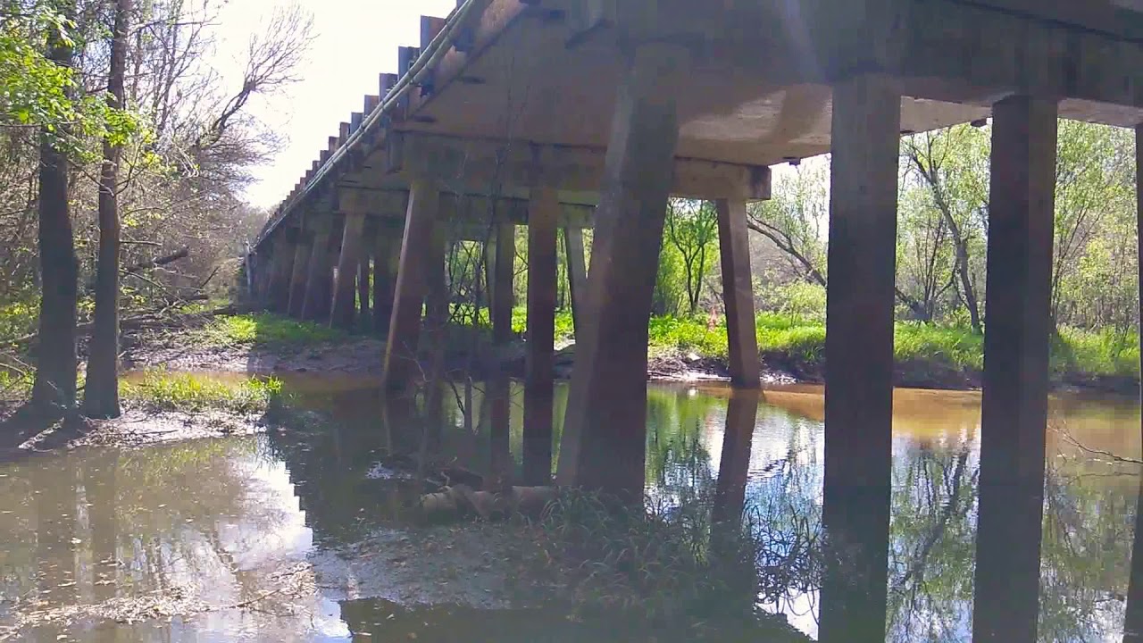 Nichols River (video #2) 2/17/19 - YouTube