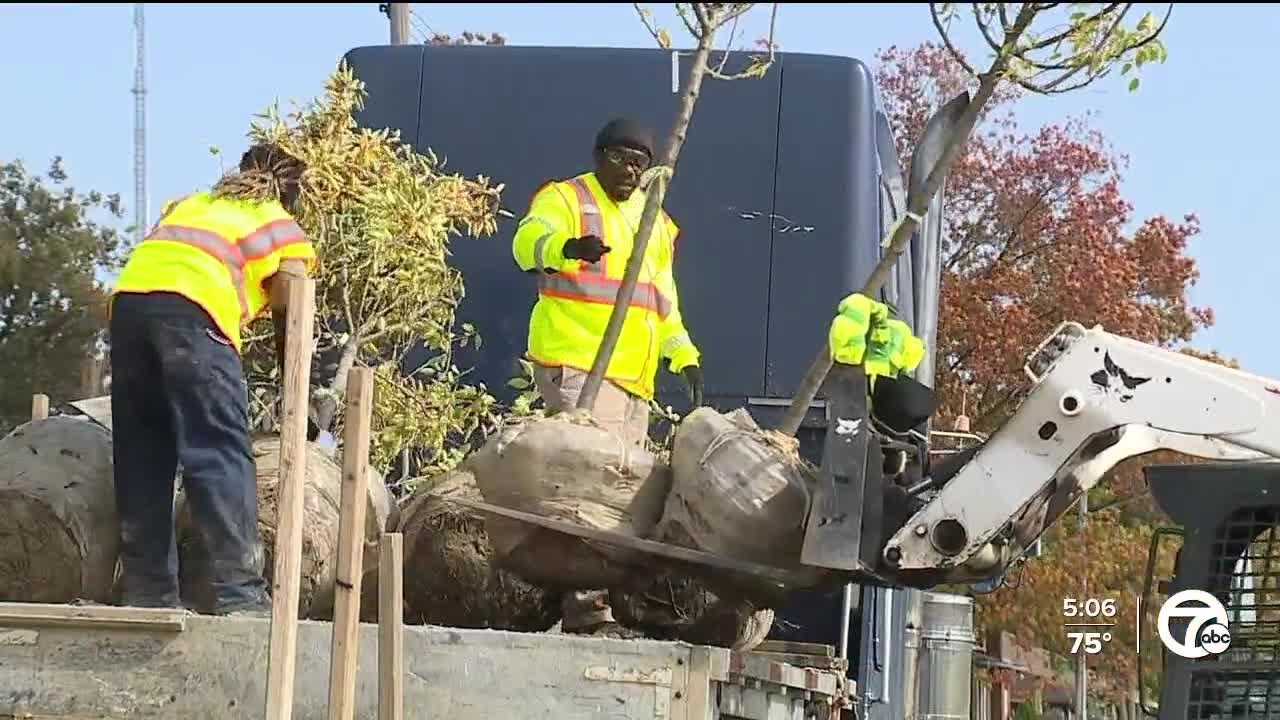 Detroit launches tree equity partnership - YouTube