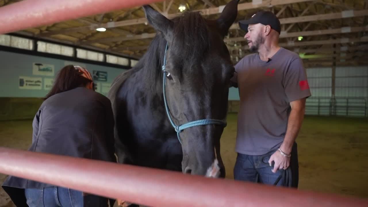 Veterans find relief and companionship at Victory Riding Academy - YouTube