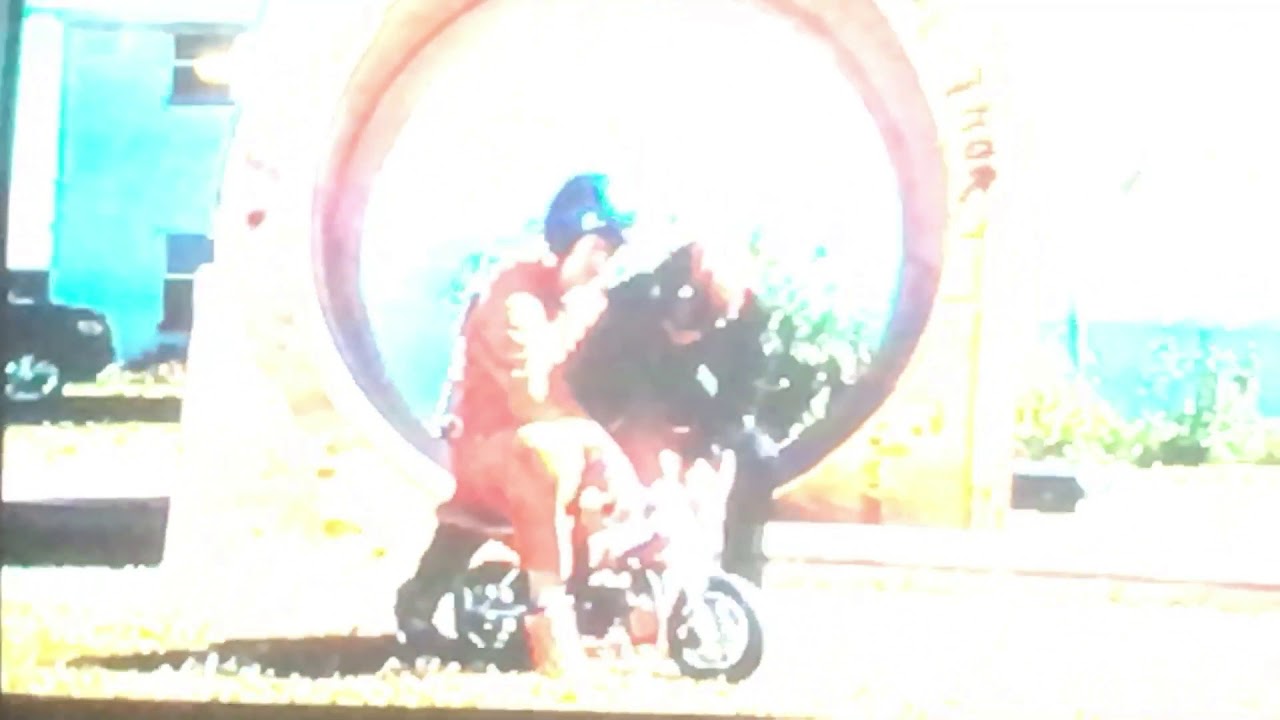 Scenes from jackass 2 - YouTube