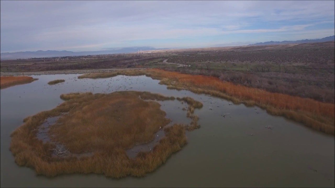 Topock Marsh Arizona - YouTube
