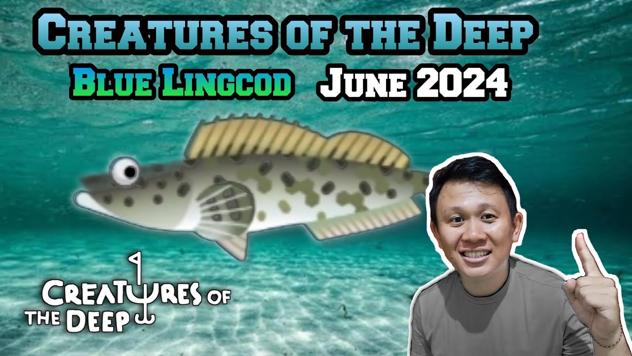 Where to find Blue Lingcod June 2024 #creaturesoftthedeep - YouTube