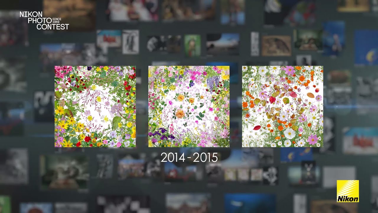 Announcing the Nikon Photo Contest 2016 - 17: it's a celebration! - YouTube